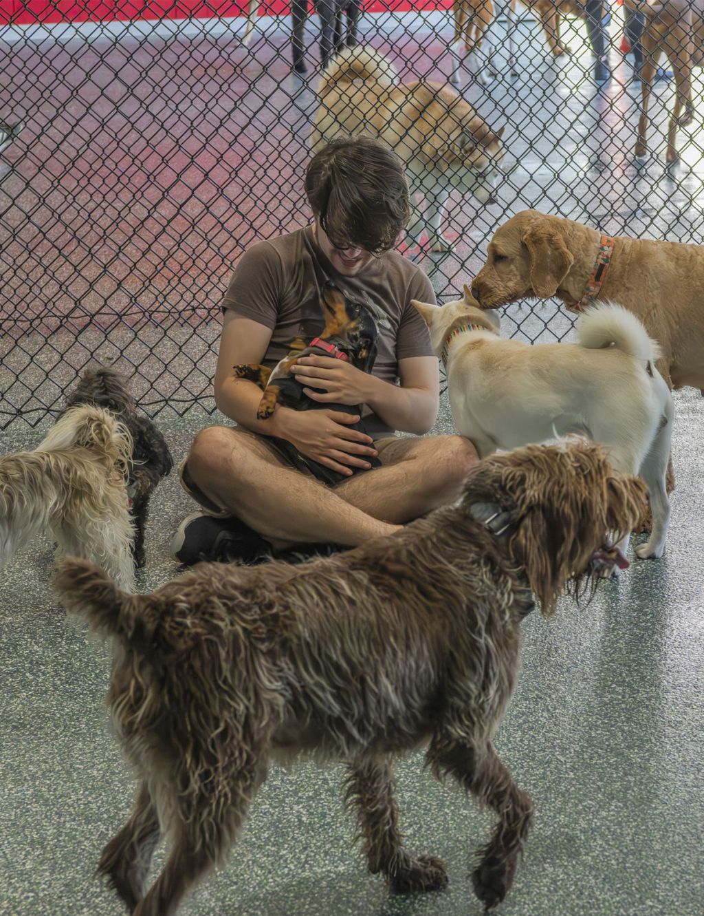 Our Story CITYDOGs Downtown Kansas City Dog Park