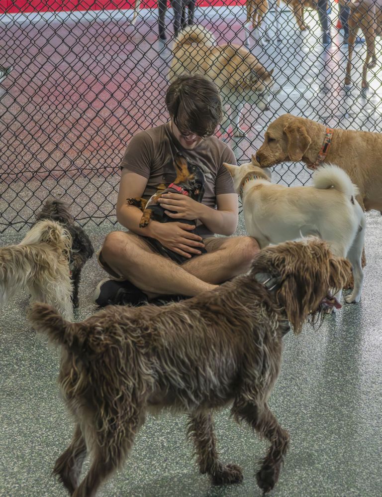 Our Story CITYDOGs Downtown Kansas City Dog Park